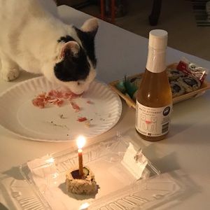 Accessories | Sushi Dinner 18th Birthday | Poshmark